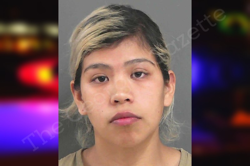 Yanet Gonzalez-Reyes — Gordon County Jail Bookings