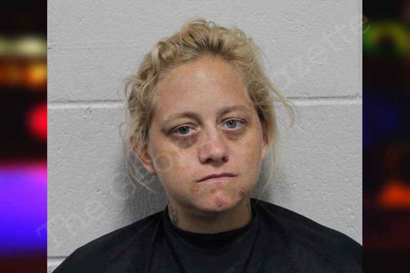 Elizabeth Hibbs — Habersham County Jail Bookings