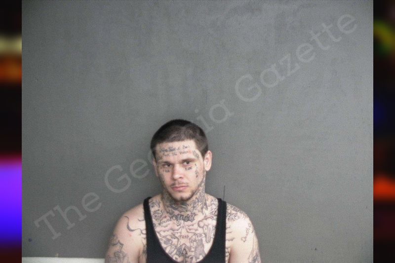 Troy Hancock — Twiggs County Jail Bookings