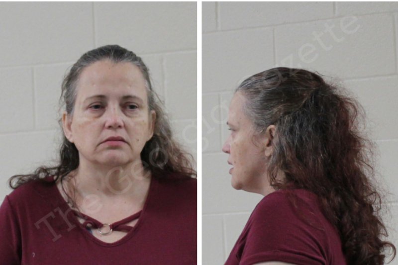 Tabatha Hayes — Houston County Jail Bookings