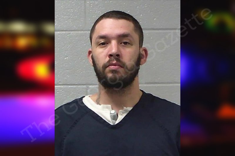 David Heinrich — Gilmer County Jail Bookings