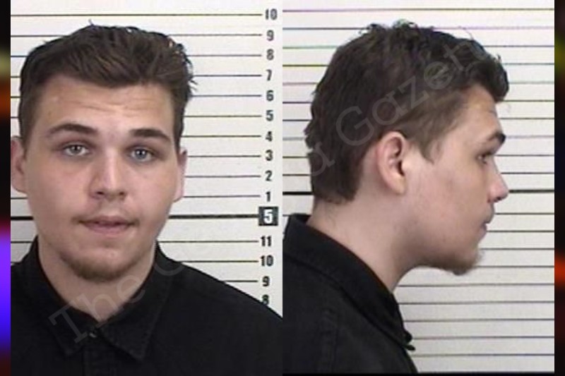 Tyler Hendrix — Camden County Jail Bookings