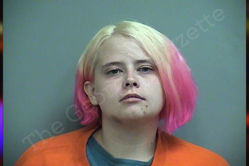 Alyssa Hicks — Effingham County Jail Bookings