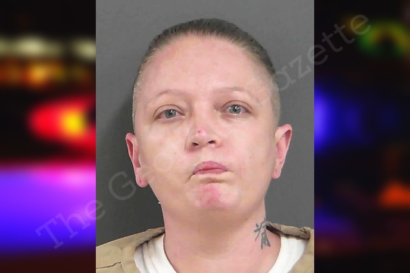 Randi Higgins — Gordon County Jail Bookings