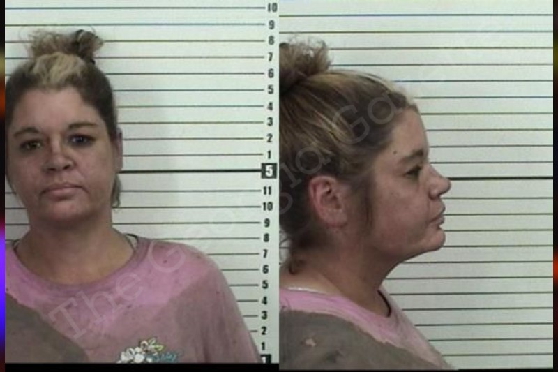 Angela Hogan — Camden County Jail Bookings