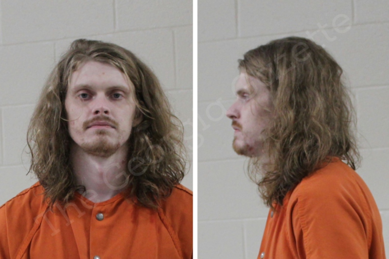 Tyler Holland — Houston County Jail Bookings