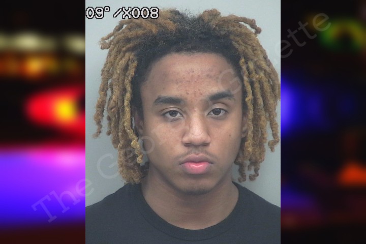 Bryce Johnson — Gwinnett County Jail Bookings