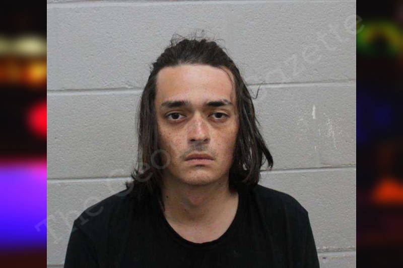 Lyle Johnston | Harris County Jail Bookings