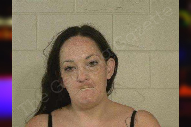 Elizabeth Johnson — Liberty County Jail Bookings