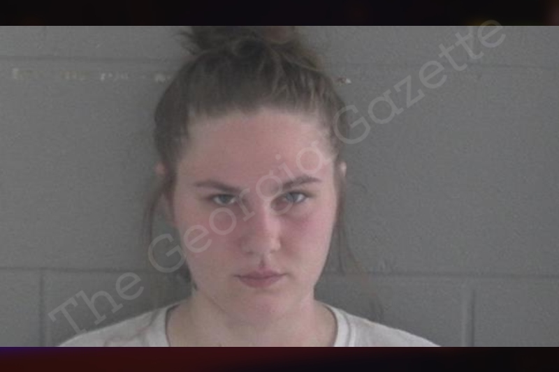 Hannah Johnson — Brantley County Jail Bookings