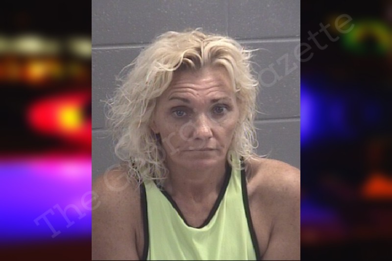 Tabitha Johnson — Spalding County Jail Bookings Tabitha Johnson — Spalding County Jail Bookings