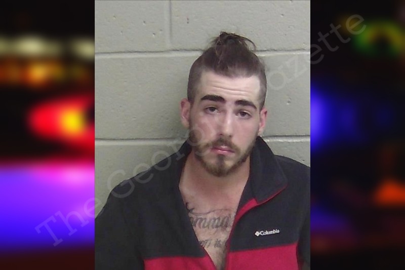 Logan Kemp — Wayne County Jail Bookings