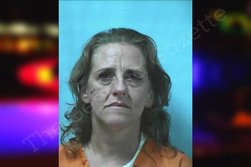 Christy Key — Seminole County Jail Bookings