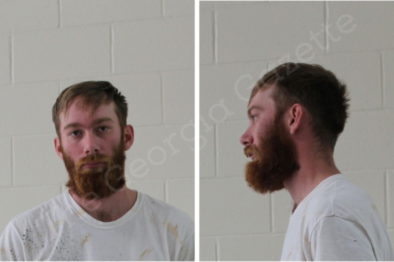 Dylan King — Houston County Jail Bookings