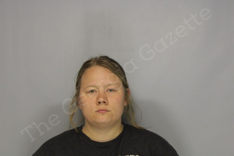 Taylor Latimer — Hall County Jail Bookings