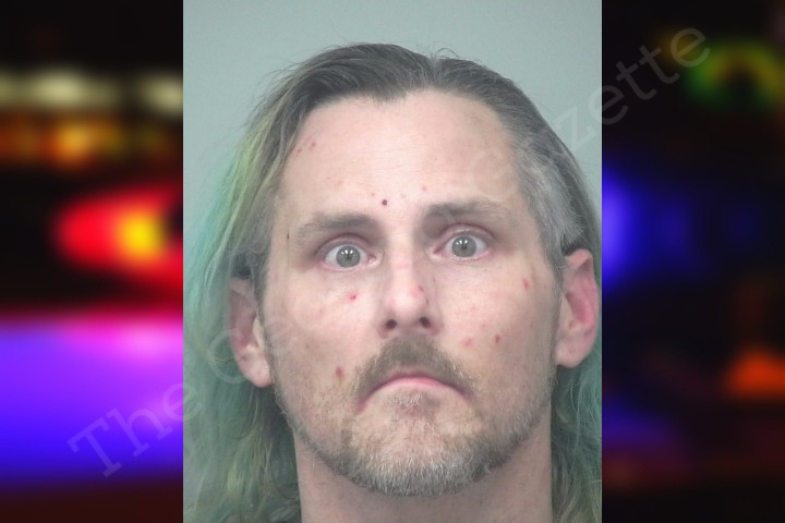 Jeremy Lay — Gwinnett County Jail Bookings