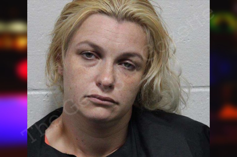 Danielle Lumpkin — Habersham County Jail Bookings