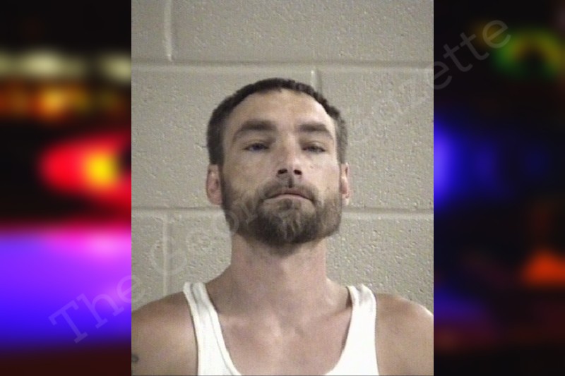 Stephen Lay — Whitfield County Jail Bookings