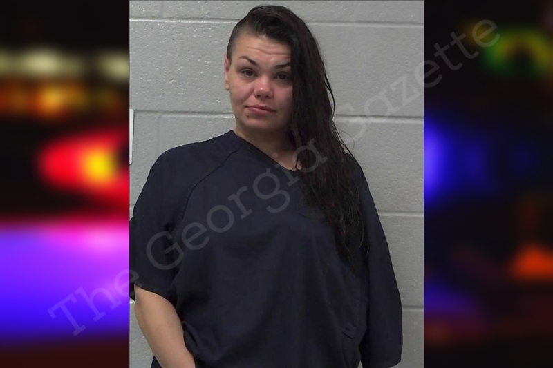 Rea Lee — Gilmer County Jail Bookings