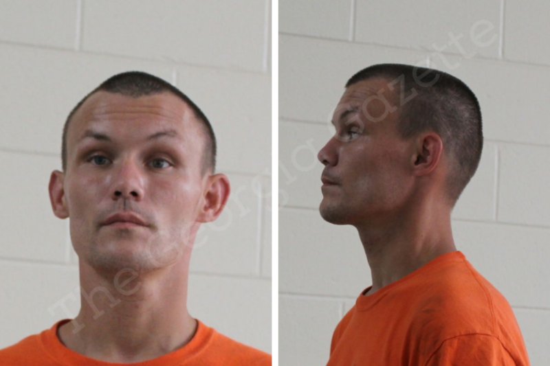 Ryan Lord — Houston County Jail Bookings