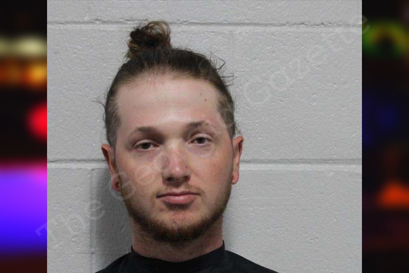 Carl Martin — Habersham County Jail Bookings