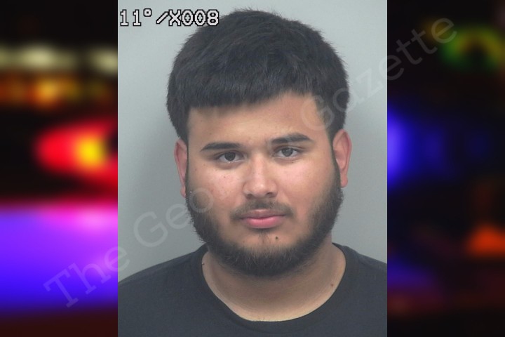 Elias Martinez Rubio — Gwinnett County Jail Bookings