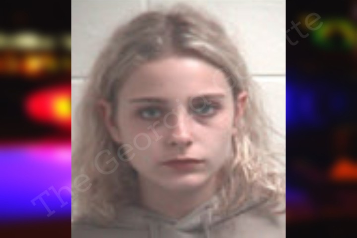 Meredith McCown — Henry County Jail Bookings