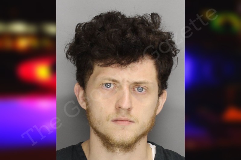 Christopher Michael — Cobb County Jail Bookings