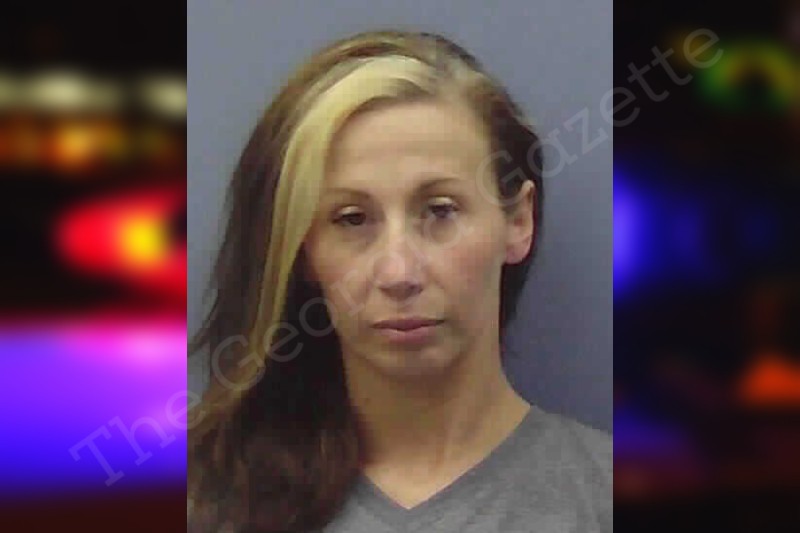 Laura Mohamed — Chattooga County Jail Bookings