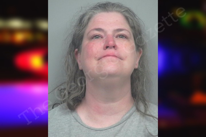 Heather Moulton-Meissner — Gwinnett County Jail Bookings