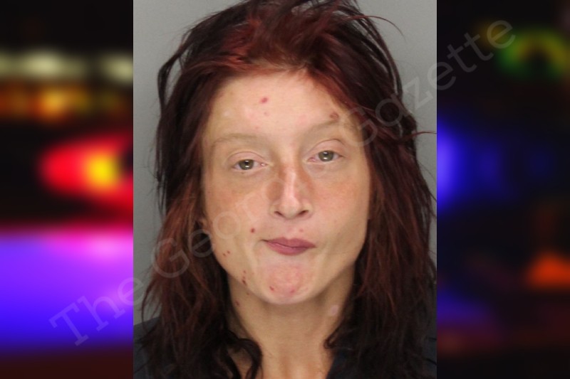 Cheyenne Mudd — Cobb County Jail Bookings