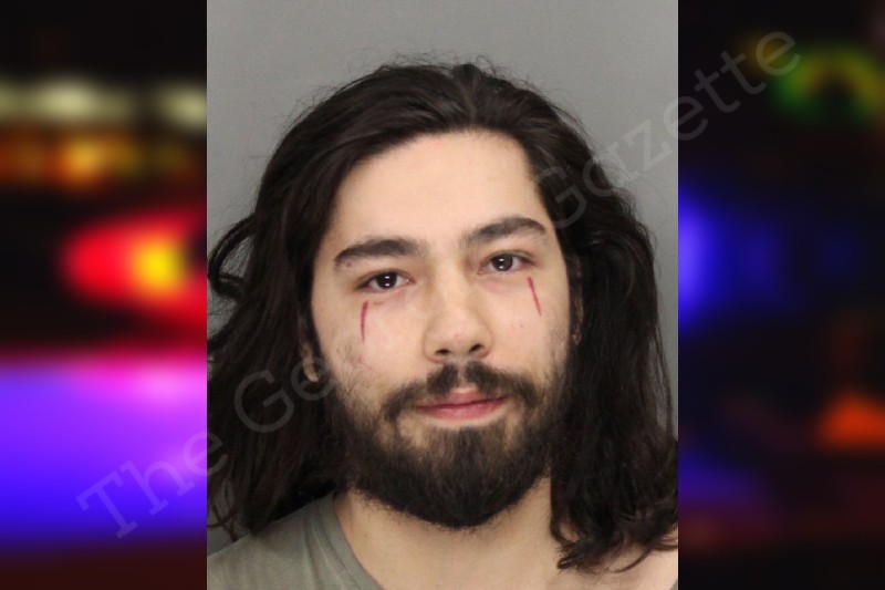 Caleb Mulligan — Cobb County Jail Bookings