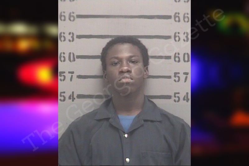 Jamie Martin — Dougherty County Jail Bookings