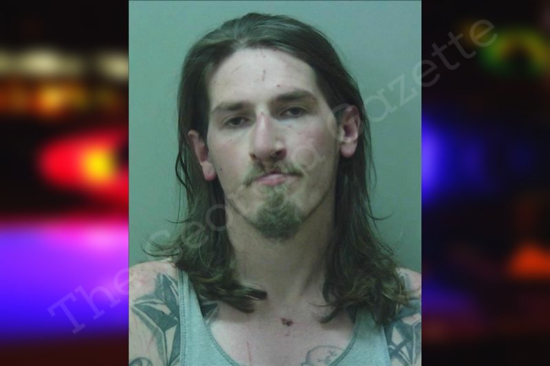 Brett McCray — Towns County Jail Bookings