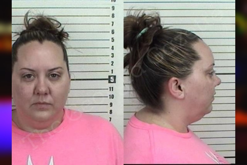 Stacie McAllister — Camden County Jail Bookings