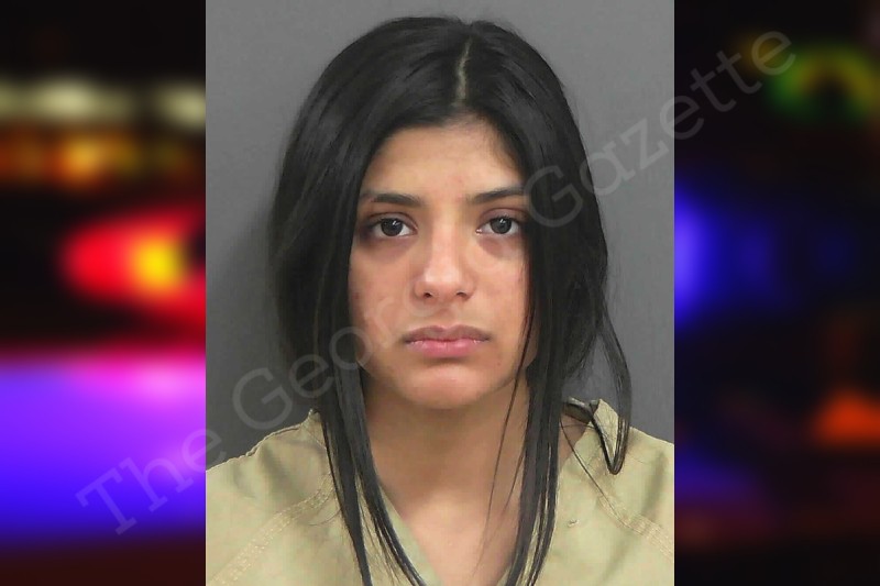 Chellse Meza — Gordon County Jail Bookings