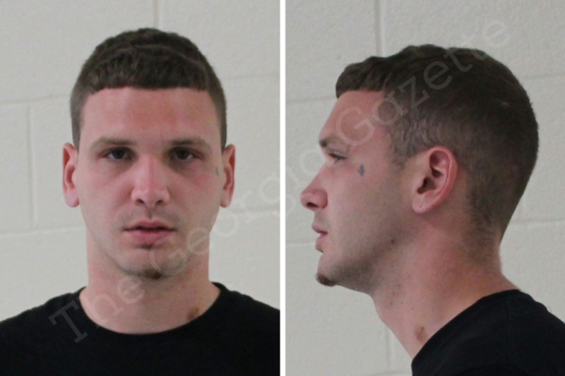 Dustin Morgan — Houston County Jail Bookings