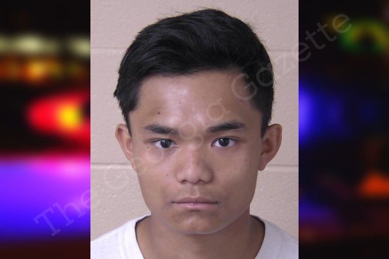 Jayden Nguyen — Walker County Jail Bookings