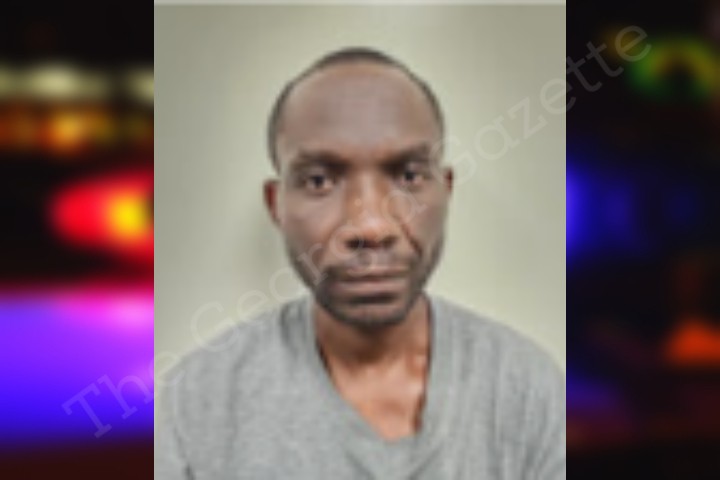 Emmanuel Opeyemi — Henry County Jail Bookings