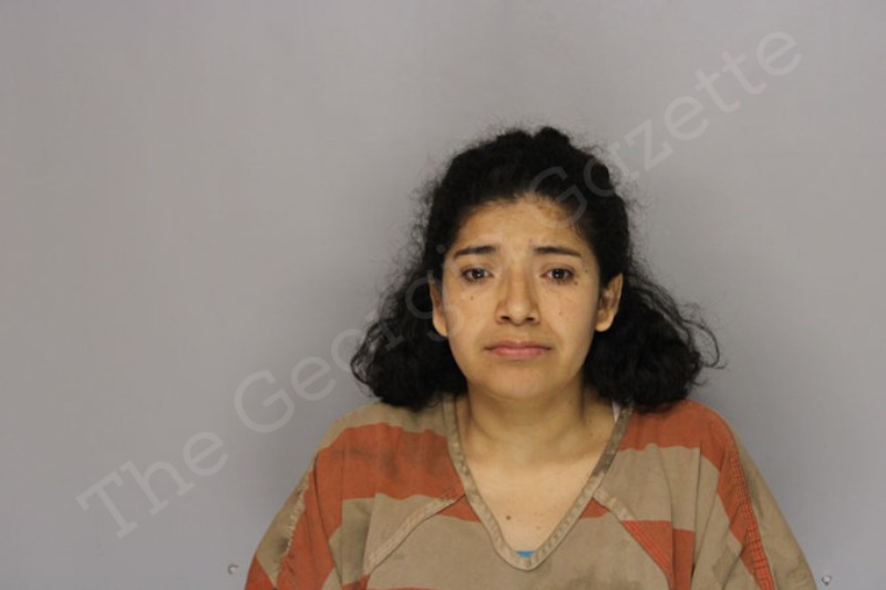 Xiomara Pineda — Hall County Jail Bookings