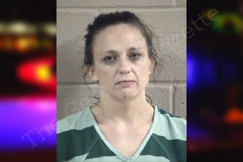 Michelle Plott — Whitfield County Jail Bookings