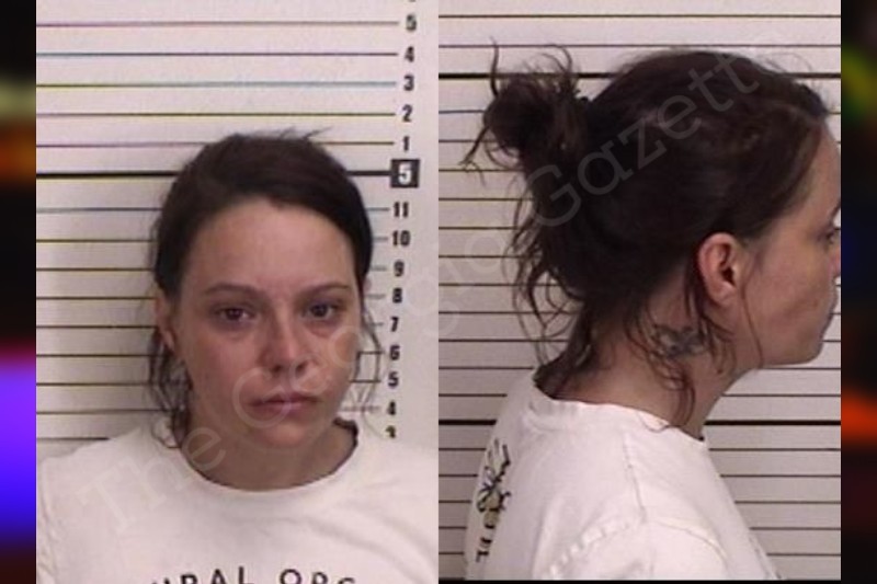 Patricia Presnell — Camden County Jail Bookings