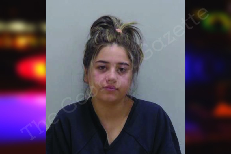 Natalie Quintero — Bartow County Jail Bookings