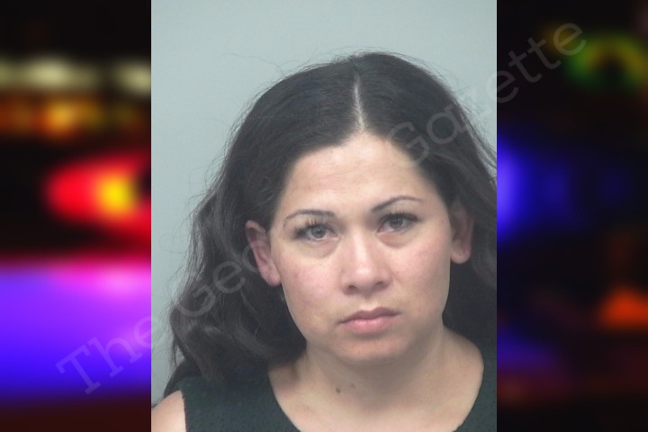 Elsa Ramos Castillo — Gwinnett County Jail Bookings