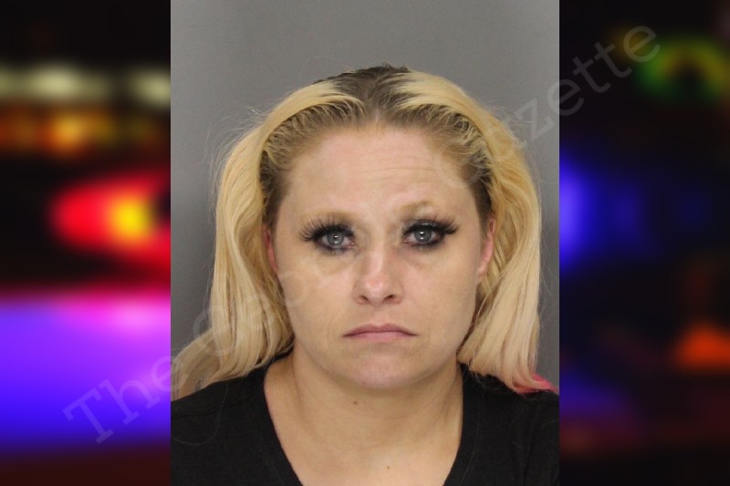 Stephanie Reddin — Cobb County Jail Bookings