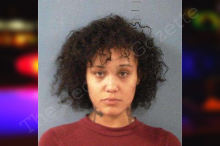 Briyana Robertson — Monroe County Jail Bookings