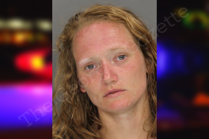 Angelia Robinson — Cobb County Jail Bookings