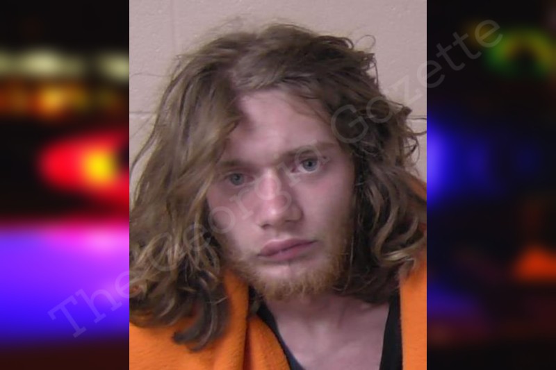 Mason Reed — Walker County Jail Bookings