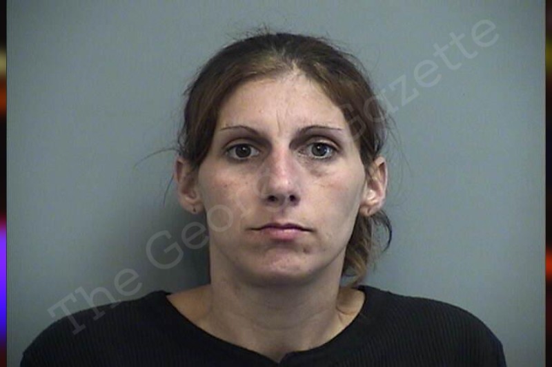 Jennifer Rice — Effingham County Jail Bookings