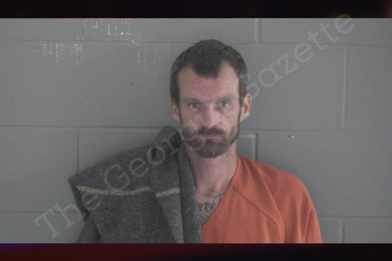 Blake Robinson — Brantley County Jail Bookings